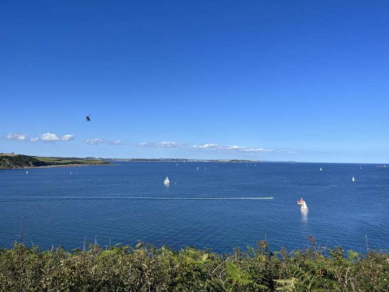 Dennis Head & Manaccan Schleife von Helford — Cornwall | Laufrunde | Komoot