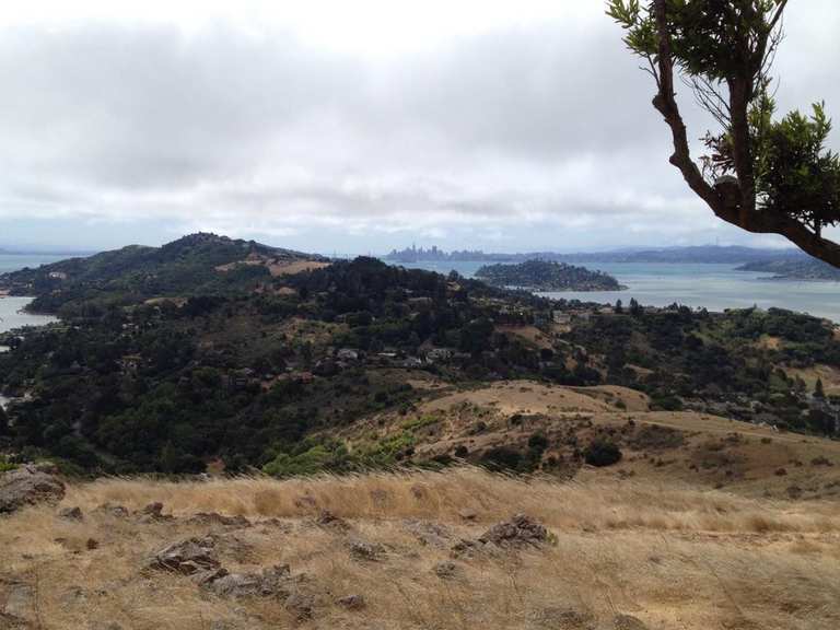 Ring Mountain zum Loop Trail über den Phyllis Ellman Trail — Ring ...