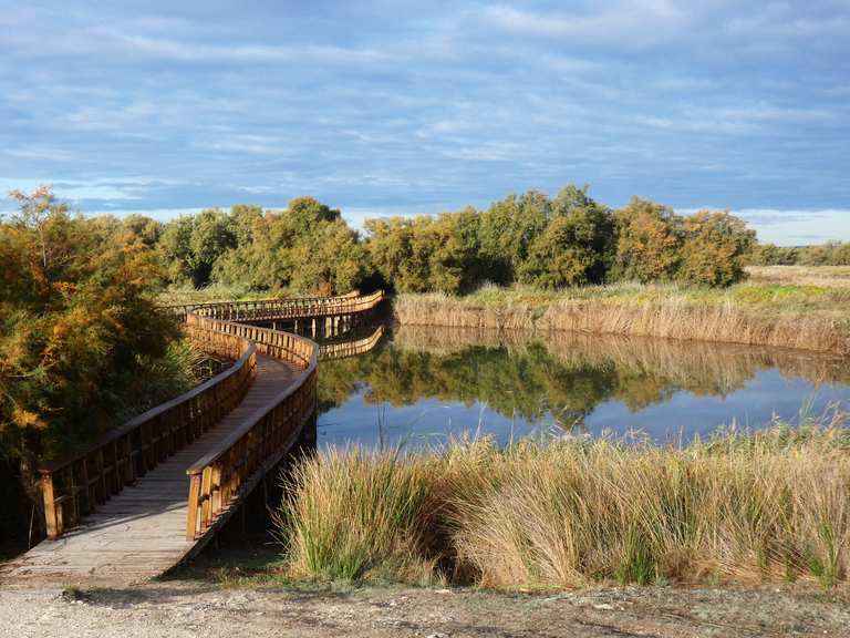 Las Tablas de Damiel - circular route through the National Park | run ...