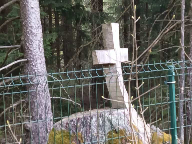 Wooden Cross in Tree Stump – Hikes & How to Get There | Komoot