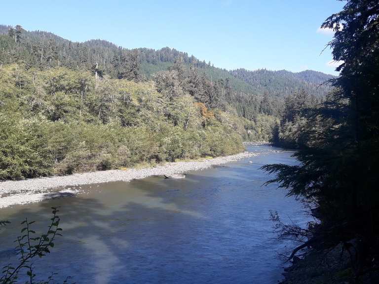 Sam's River Loop Tour — Olympic National Park | wycieczka piesza | Komoot