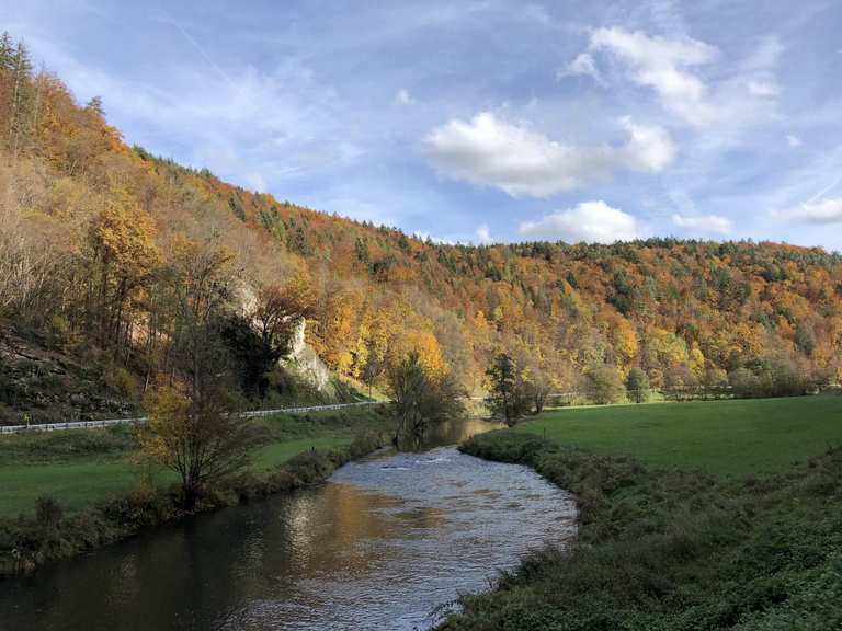 Wiesent bei Wohlmannsgesees: Mountainbike-Touren und -Trails | komoot