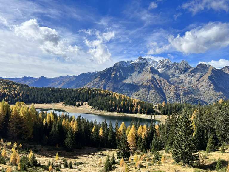 Alta Via della Valmalenco: From Chiareggio to Lago Palù | wandeling ...