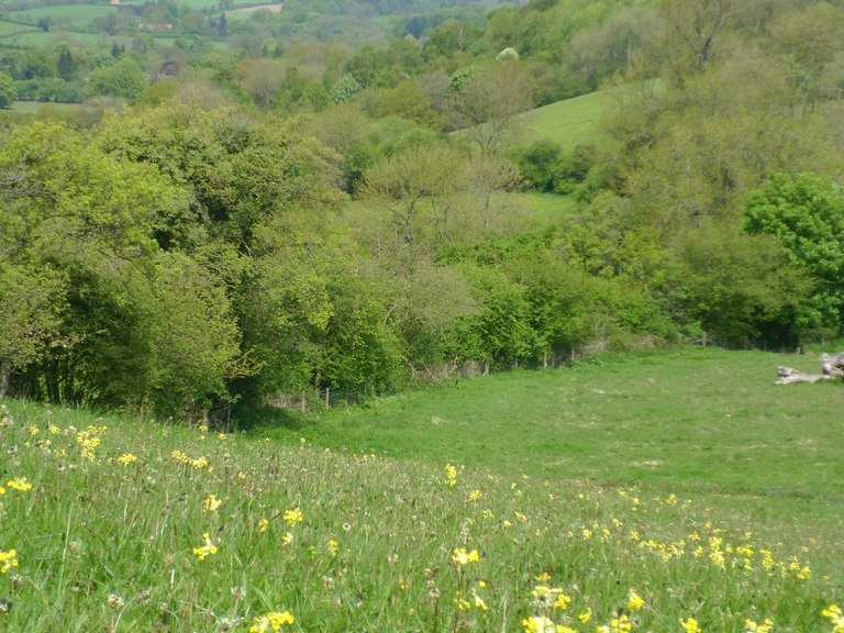 Cropton Castle and Hob Bank Wood loop — North York Moors National Park ...