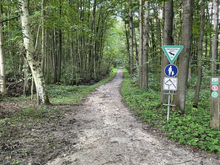 Vierer See – Blick auf das Plöner Schloss Runde von Bosau | Wanderung ...