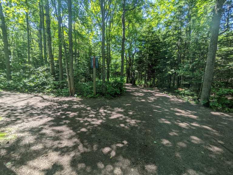 Centennial Park - Itinéraires vélo et carte | Komoot