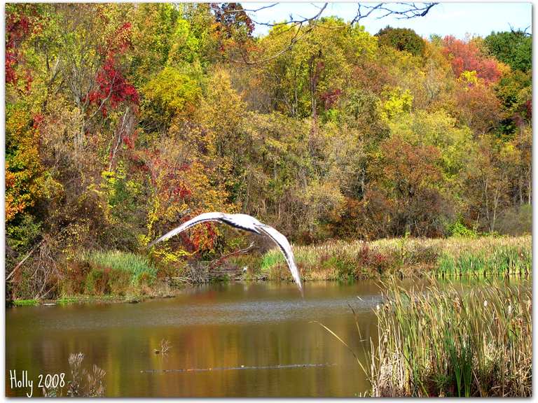 Burden Pond Preserve - Troy, Rensselaer County | Lauf-Highlight | Komoot