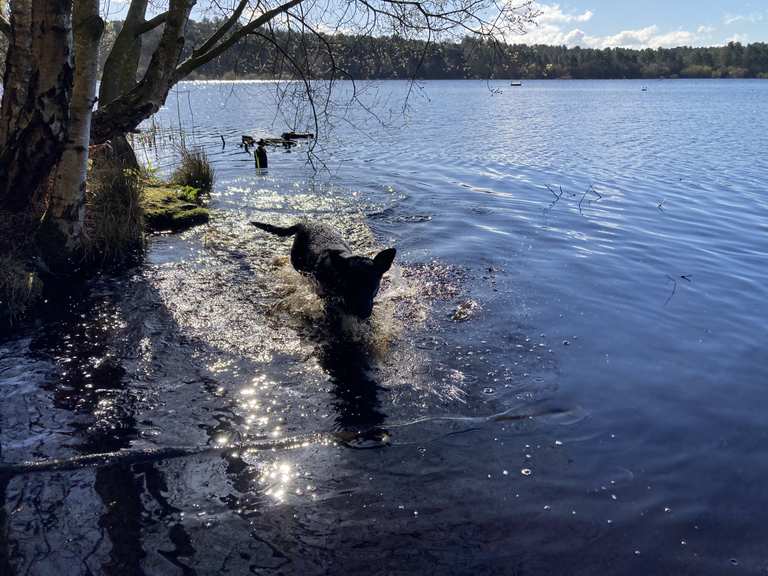 Blakemere Moss Routes for Walking and Hiking | Komoot