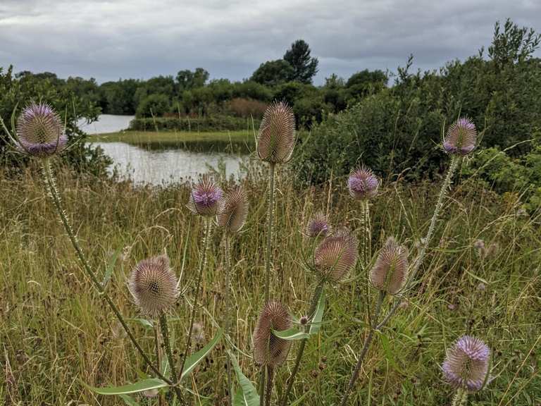 High Eske Nature Reserve: Touren und Karten | komoot