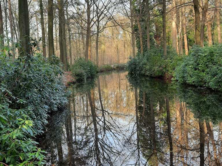 Bulskampveld wandelroutes en hikes | Komoot