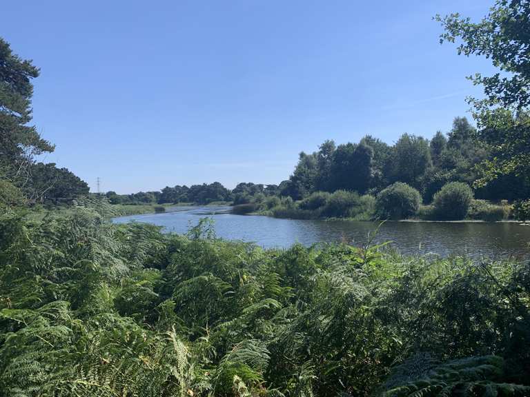 Lound Lakes (Norfolk/Suffolk border) : Radtouren und Radwege | komoot