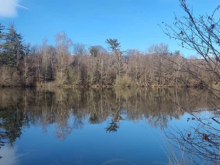 Parco la Mandria - le Tour en boucle dans la province de Turin ...