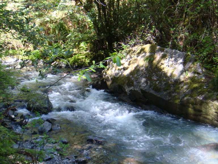 Myrtle Creek : percorsi escursionistici e trekking | Komoot