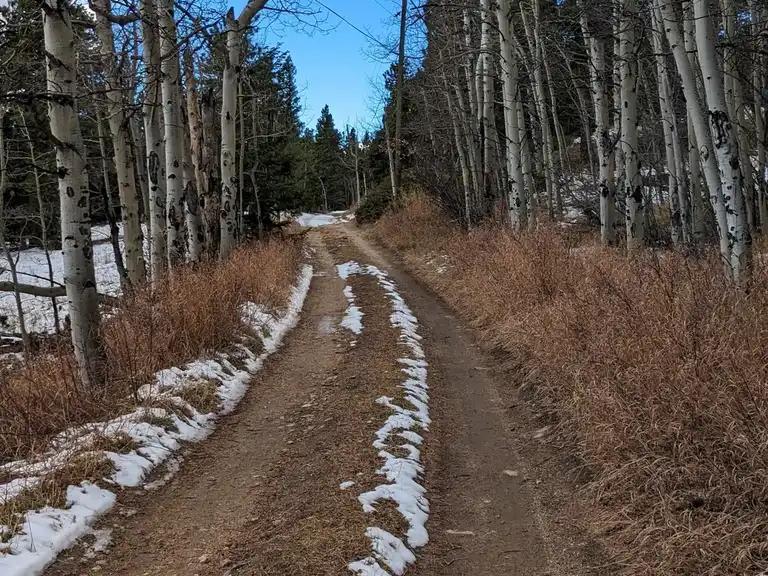 Boucle de la mine de Conger via le Tour Sherwood — Roosevelt National ...