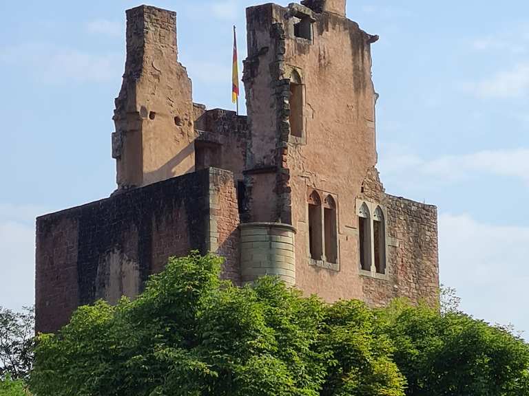 Burg Ramstein: Wanderungen und Rundwege | komoot