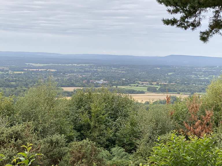 Pitch Hill & Winterfold Schleife — Surrey Hills | Wanderung | Komoot