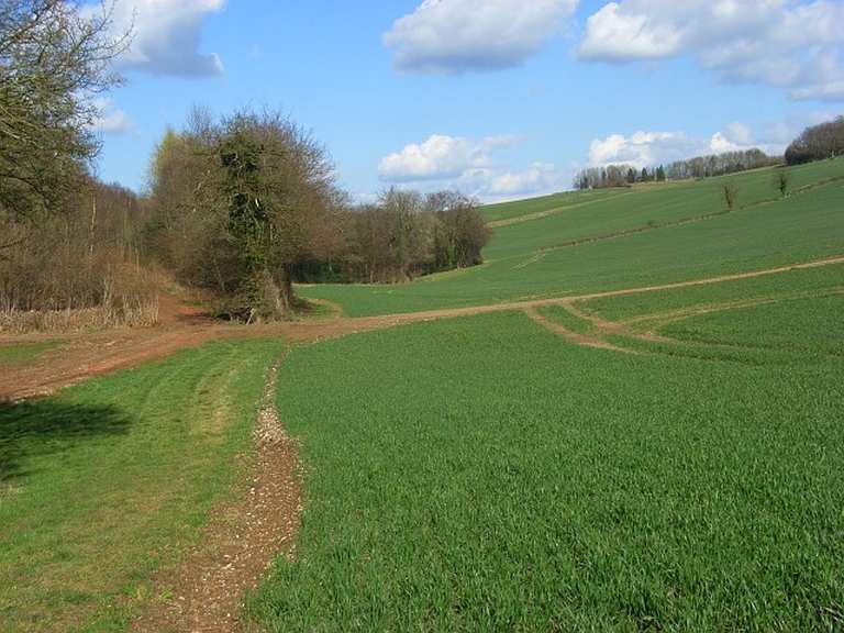 Église St Mary-le-Moor et boucle de Bigmore Lane depuis Lane End ...