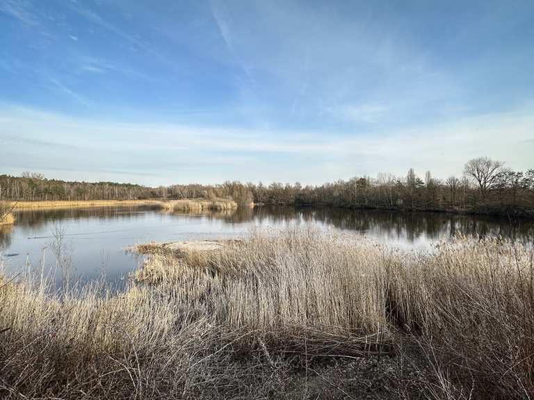 See am Goldberg - Mountain Bike Trails & Tracks | Komoot