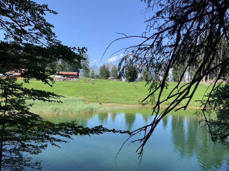 Chapfensee – Wanderweg am Chapfensee Runde von Mels | Wanderung | Komoot