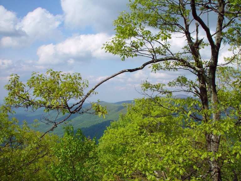 Harkening Hill: Wanderungen und Rundwege | komoot