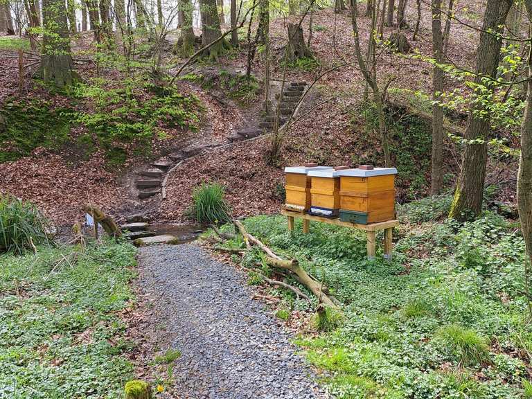 Ruches au passage du ruisseau d’Asselborn – Itinéraires vélo & Comment ...