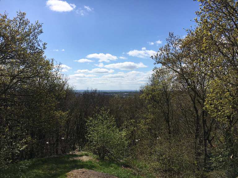 Nottingham Canal Nature Reserve & the Hemlock Stone loop from Bramcote ...