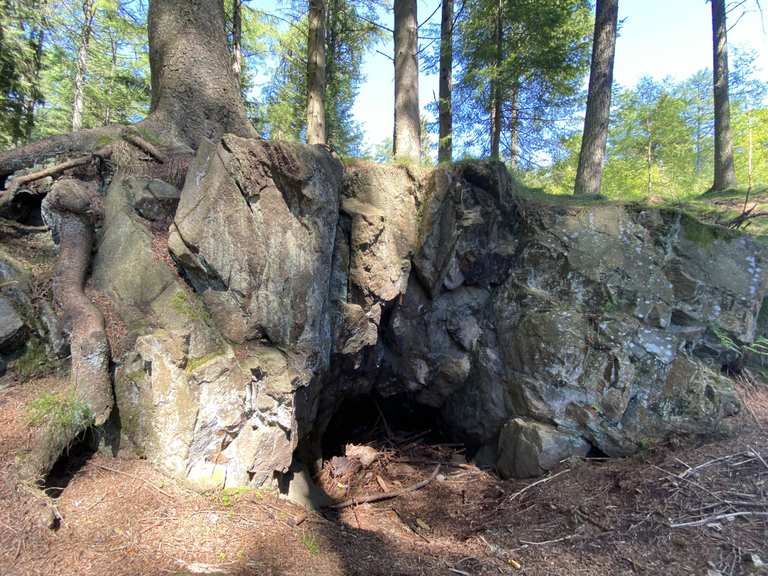 Tyrebagger Woods: Wanderungen und Rundwege | komoot