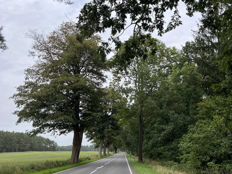 Zwischen Boddin und Badow: Rennradfahren und Rennradtouren | komoot