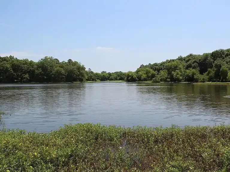 Lake Conestee via Swamp Rabbit Trail — Greenville | ride | Komoot