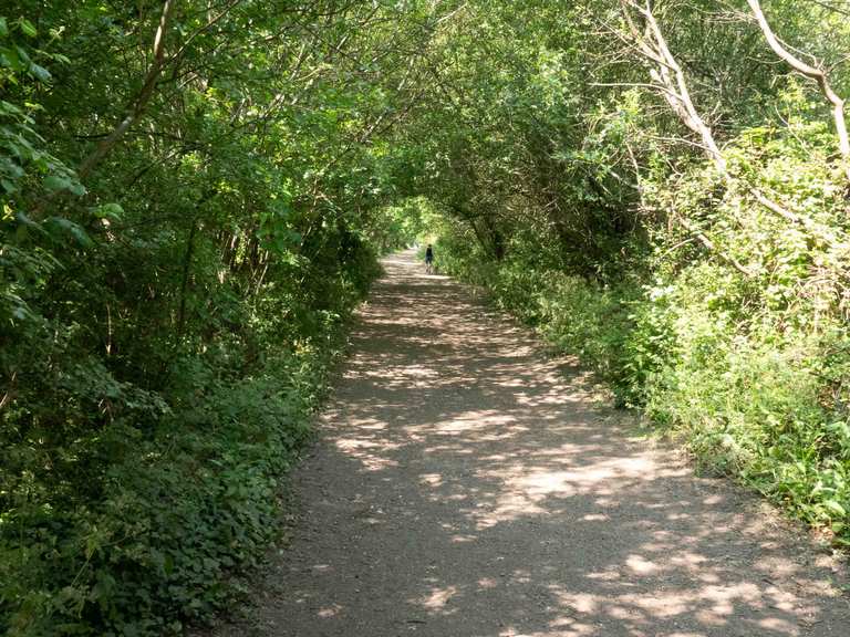 Castleman Trailway - excellent gravel track fom Ringwood - Cycle Routes ...