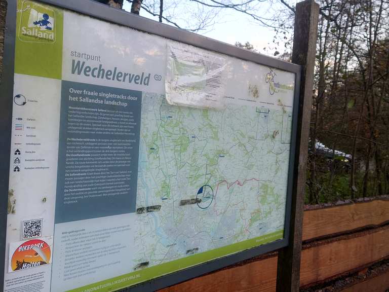 Wechelerveld Singel track: MTB-routes en trails | Komoot
