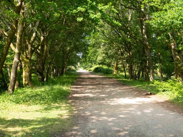 Southampton to Dorchester old rail line cycle trail Cycle Routes and ...