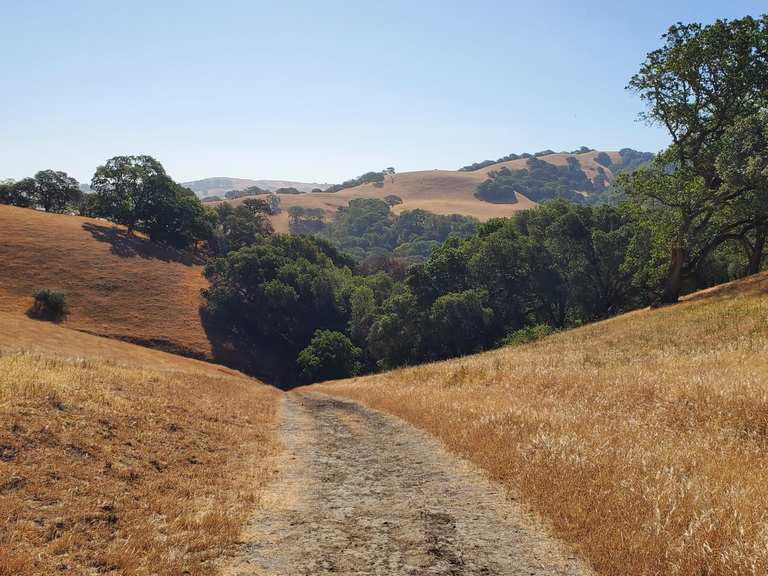 Fernandez Ranch Schleife über Black Phoebe Trail— Fernandez Ranch ...