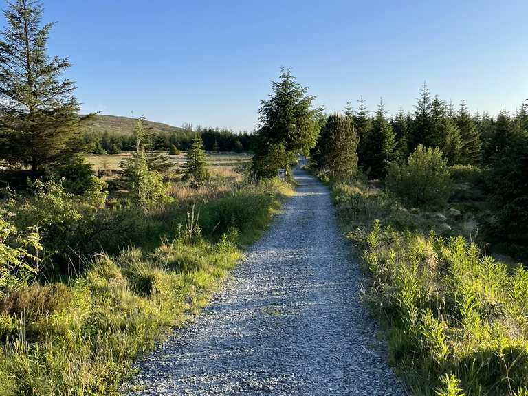 Red Bog Routes for Walking and Hiking | Komoot