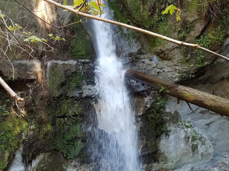 Bridge Creek waterfalls via Aptos Creek Fire Road — The Forest of ...