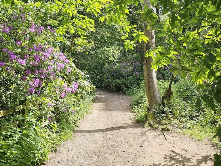 Nottingham Canal Nature Reserve & the Hemlock Stone loop from Bramcote ...