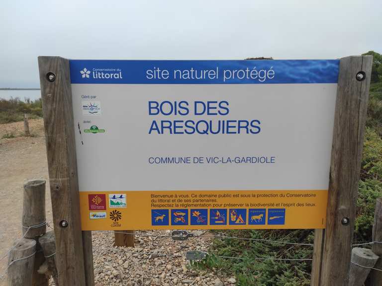 Bois des Aresquiers - Itinéraires de rando et marche | Komoot