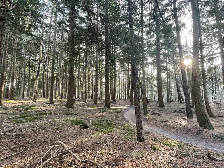 Track Rucphense Heide: MTB-routes en trails | Komoot