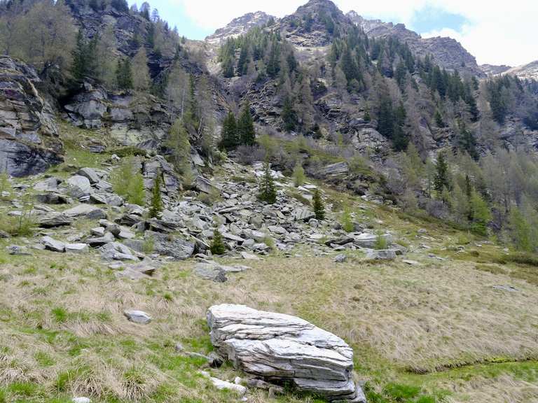 Nedro Alp: Wanderungen und Rundwege | komoot