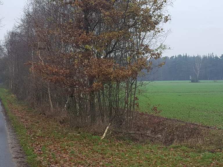Alter Postweg : Radtouren und Radwege | komoot