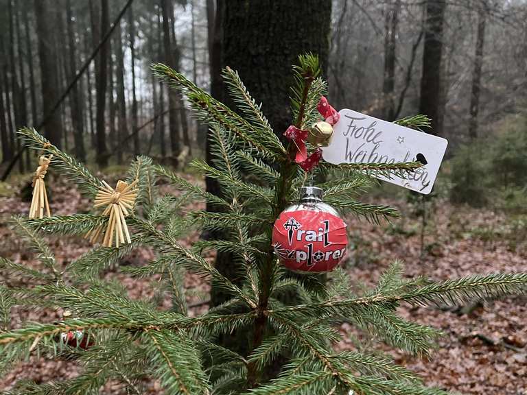 Gummistiefel auf Baumstumpf – Wanderungen & Anfahrt | Komoot