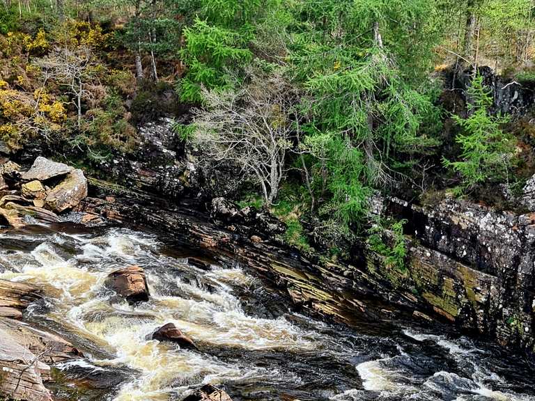 Little Garve Bridge: Wanderungen und Rundwege | komoot