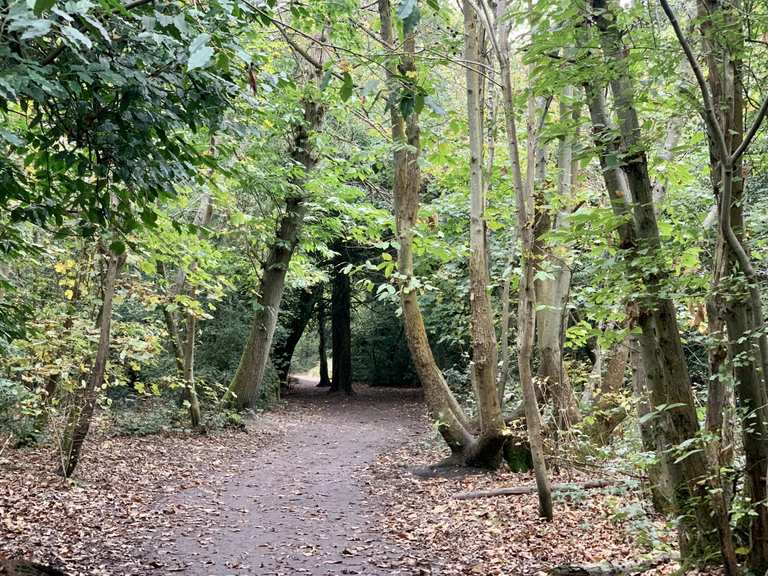 South Lake Park & Highwood Local Nature Reserve loops from Earley ...