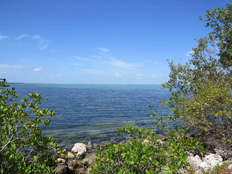 Spite Highway Trail & Elliot Key Trail — Biscayne National Park | hike ...