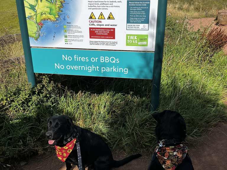 St Abb's Head Nature Reserve Information Sign Routes for Walking and ...