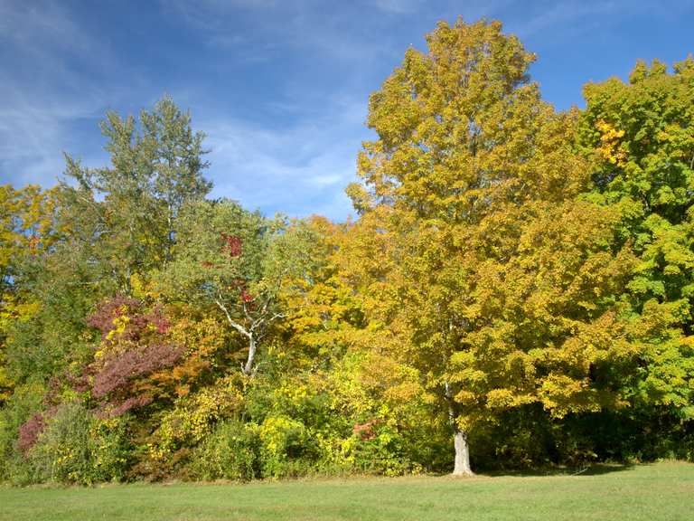 Raven Michigan Connector: Wanderungen und Rundwege | komoot