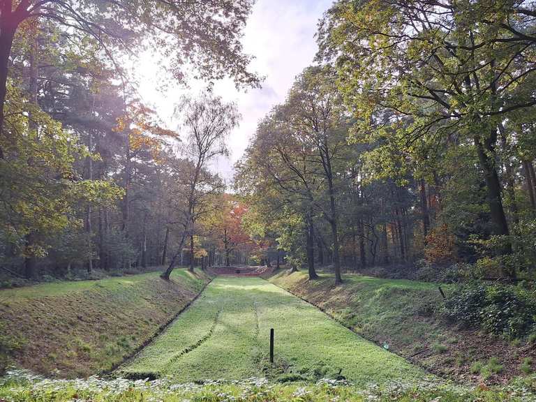 Clingse bossen wandelroutes en hikes | Komoot