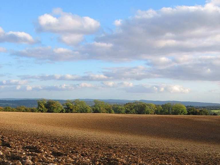 Noar Hill wandelroutes en hikes | Komoot