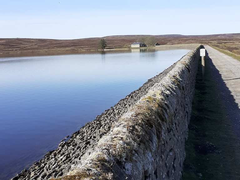Boucle de Smiddy Shaw et Hisehope depuis Waskerley — North Pennines ...