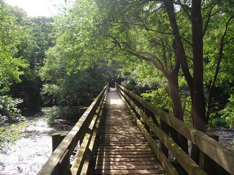 Nidd Gorge and Burgess Bridge Routes for Walking and Hiking | Komoot